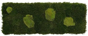 WOODILO Mechový panel | přírodní dlouhovlasý plochý mech | světle zelený kopečkový mech Rozměr: 100x40 cm, Aplikace na stěnu: Klasické obrazové závěsy
