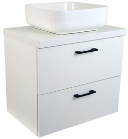 BPS-koupelny Koupelnová skříňka pod deskové umyvadlo Agria W 60-HD - bílá/bílá
