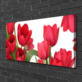 Obraz na plátně Tulipány Květiny Rostlina 120x60 cm