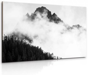 Malvis ® Obraz Mlha v Alpách v černobílé Velikost: 120x80 cm