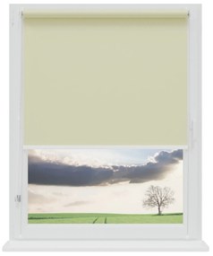 Zatemňující roleta neinvazivní Pearl 48x220 cm