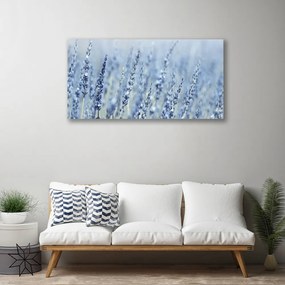 Obraz na plátně Květiny Klasy Louka Příroda 125x50 cm