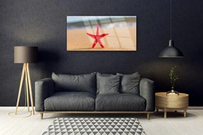 Obraz na skle Pláž Hvězdice Umění 120x60 cm