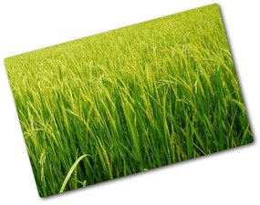 Wallmuralia Deska na krájení skleněná Rýžové pole 80x52 cm