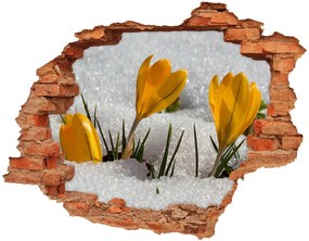 Wallmuralia Samolepící nálepka fototapeta Šafrán na sněhu 90x70 cm