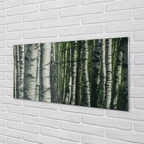 akrylový obraz březového lesa 140x70 cm