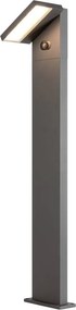 LA 1008544 ABRIDOR POLE 100 volně stojící svítidlo, HYBRID, 2200/2700K, IP65 antracit, matný antracit - BIG WHITE (SLV)