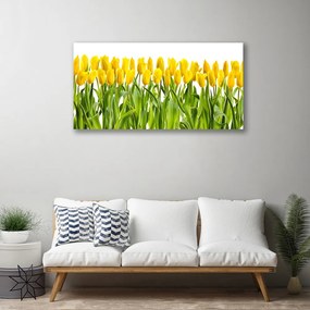 Obraz na plátně Tulipány Květiny Příroda 125x50 cm