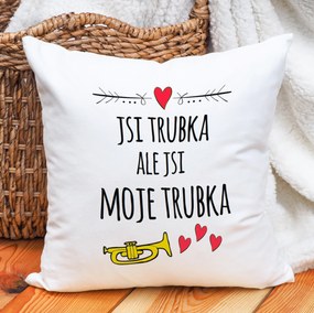 Ahome CZ Polštář Jsi moje trubka