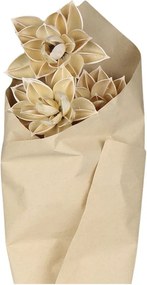 Sada sušených béžových květin jiřinka Fleur Dahlia – 55 cm / 3ks