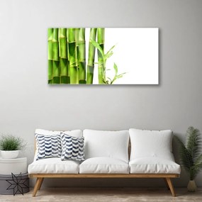 Obraz na skle Bambus Rostlina 100x50 cm