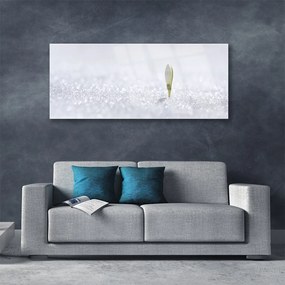 Plexisklo-obraz Sněženka Sníh Zima 125x50 cm
