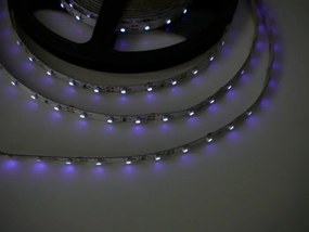 T-LED UV LED pásek 4,8W original UV čip UV LED pásek 4,8W original UV čip