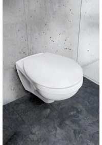 WENKO 24571100-WC sedátko VORNO NEO 46x37 cm bílá/stříbrná