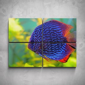 4-dílný obraz - Modrá rybka - PopyDesign