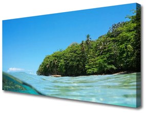 Obraz na plátně Moře Strom Krajina 120x60 cm