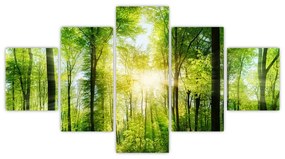 Obraz - Svítání v lese (125x70 cm)
