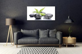 akrylový obraz Kameny Listy Umění 100x50 cm