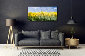 Obraz na skle Tulipány Květiny Rostlina 120x60 cm