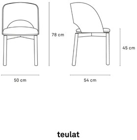 Černá jasanová jídelní židle Teulat Dam