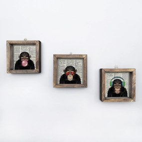 Sada obrazů Šimpanz 15x15 cm 3 ks