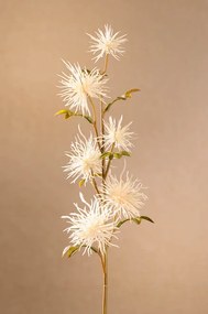 Paramit DRY MINI XANTHIUM Aranžovací květina bílá 53 cm
