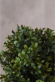 Umělý buxus BUXA, plast, výška 70 cm, zelený