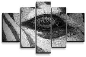 Sablio Obraz - 5-dílný Oko zebry - 125x90 cm