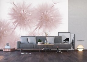 Fototapeta na zed' Odkvetlá Pampeliška | 360 x 254 cm | DFTS1326