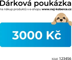 Dárková poukázka 3000 Kč