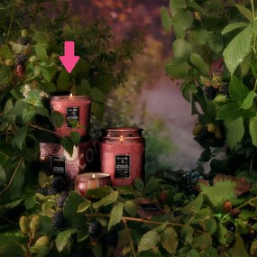 Voluspa svíčka Foraged Wildberry, 255 g