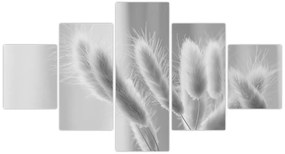 Obraz - Bunny tail grass (125x70 cm)