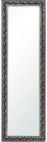 Stříbrné zrcadlo 106120