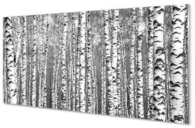 Obraz na skle Černá a bílá strom 100x50 cm