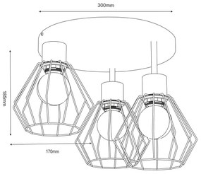 Stropní svítidlo PARKLA 3xE27/15W/230V černá