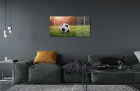 Obraz na skle Fotbal tráva gateway 100x50 cm