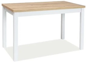 Jídelní stůl ADAM | 120 x 68 cm Barva: dub zlatý craft / bílý mat