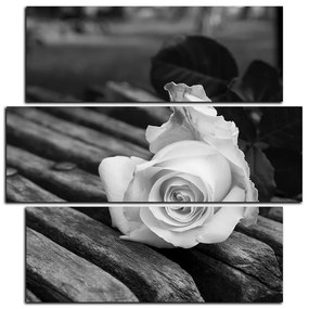 Obraz na plátně - Bílá růže na lavici - čtverec 3224QD (75x75 cm)