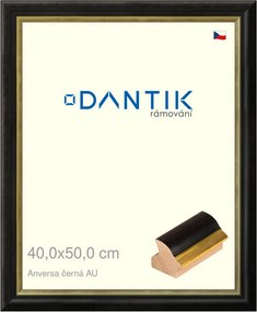 DANTIK rámeček 40x50 | ANIVERSA černá AU (Sklo Čiré)