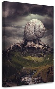 Gario Obraz na plátně Šnek na vrcholu - Patryk Andrzejewski Rozměry: 40 x 60 cm