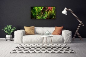 Obraz na plátně Rostlina Květiny Příroda 100x50 cm