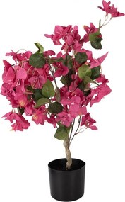 Stromek s růžovými květy Bougainvillea Tree - 30*30*90 cm