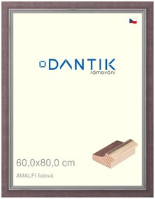DANTIK rámeček 60x80 | AMALFI fialová (Plexi Čiré)