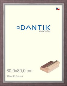 DANTIK rámeček 60x80 | AMALFI fialová (Plexi Čiré)