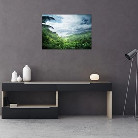 Skleněný obraz - Seychelská jungle (70x50 cm)