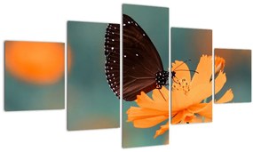 Obraz - motýl na oranžové květině (125x70 cm)