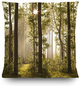 Dekorační polštář Forest CN3611 | 45 x 45 cm