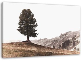 Gario Obraz na plátně Strom na kopci Rozměry: 60 x 40 cm