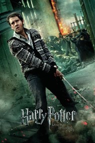 Umělecký tisk Harry Potter - Neville Longbottom