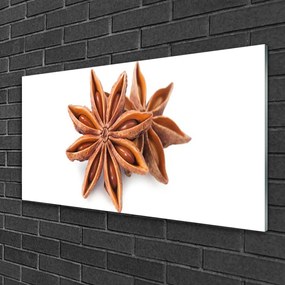 Obraz na skle Anýz Hvězda Příprava 125x50 cm